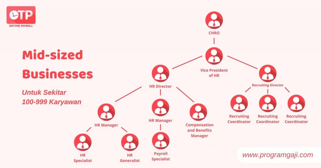 Struktur Organisasi HRD untuk Berbagai Ukuran Perusahaan - OnTime Payroll