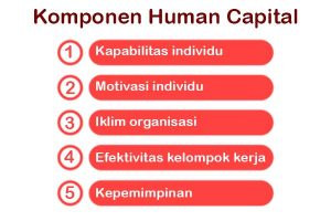 Human Capital Adalah: Pengertian, Komponen, Metode Pengukuran dan ...