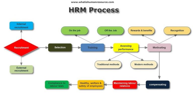 Human Resource Management (HRM): Pengertian, Teori, Fungsi - OnTime Payroll