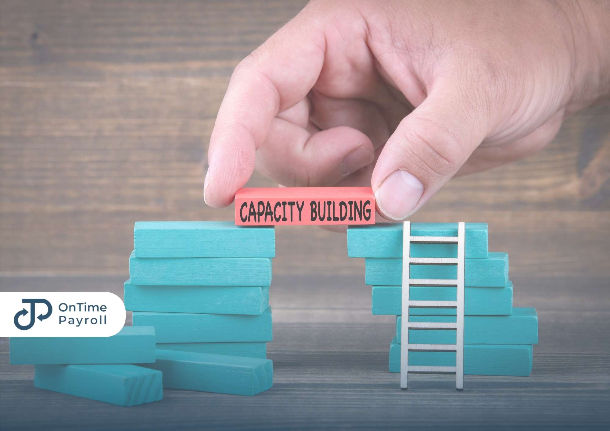 6 Alasan Pentingnya Capacity Building Dalam Kinerja Perusahaan - OnTime ...